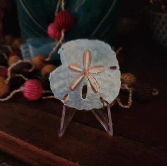Hand Crafted | Accents | Hand Painted Sand Dollar | Poshmark